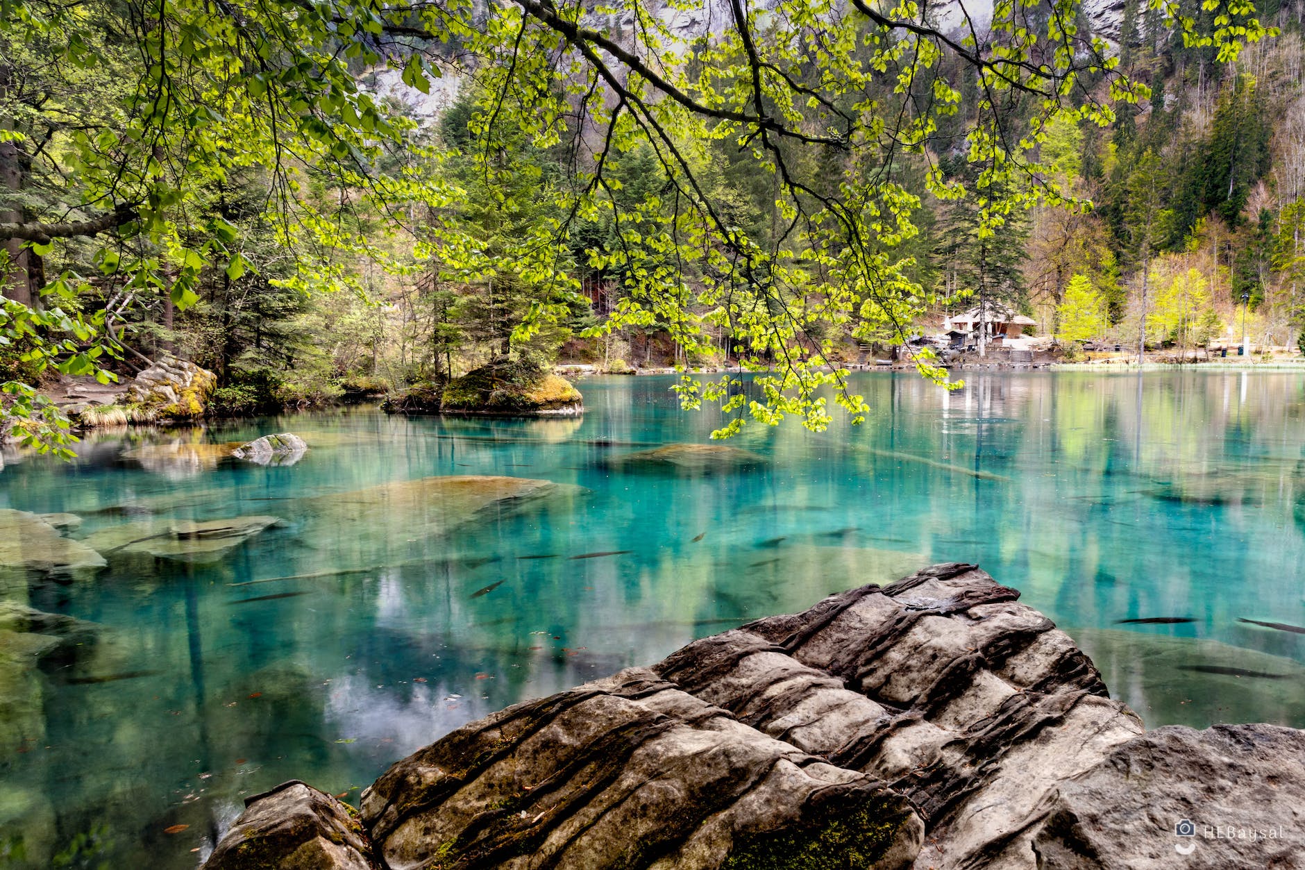 Blausee, el lago azul más mágico de Suiza - ForoSuiza